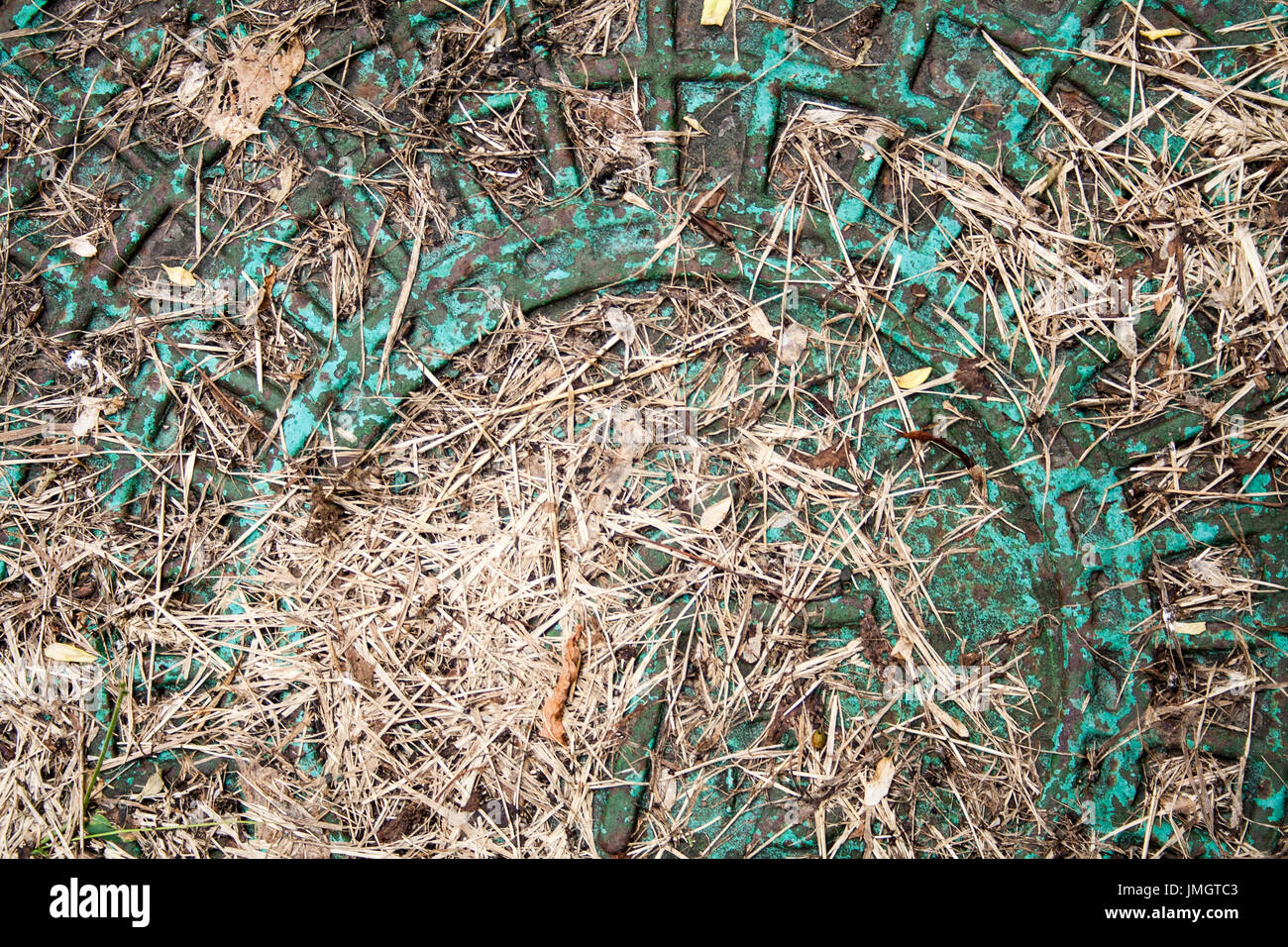 green sewer hatch under dryed grass. background, pattern Stock Photo ...
