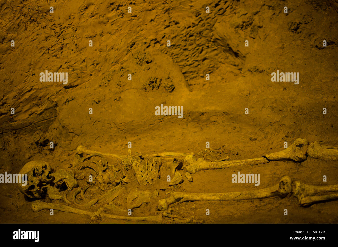 Ancient human skeleton hi-res stock photography and images - Alamy
