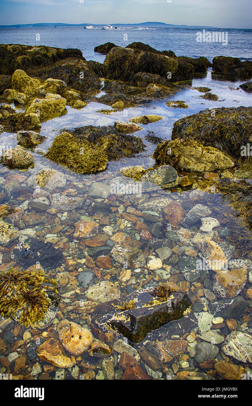 Coastline coast maine seascape hi-res stock photography and images - Alamy