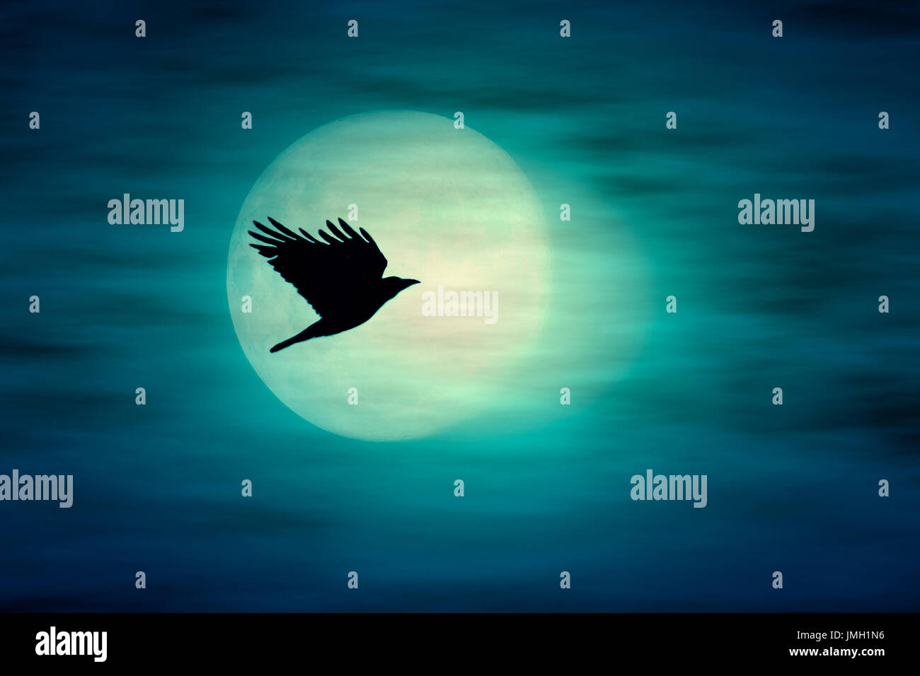 Raven and moon concept Stock Photo - Alamy