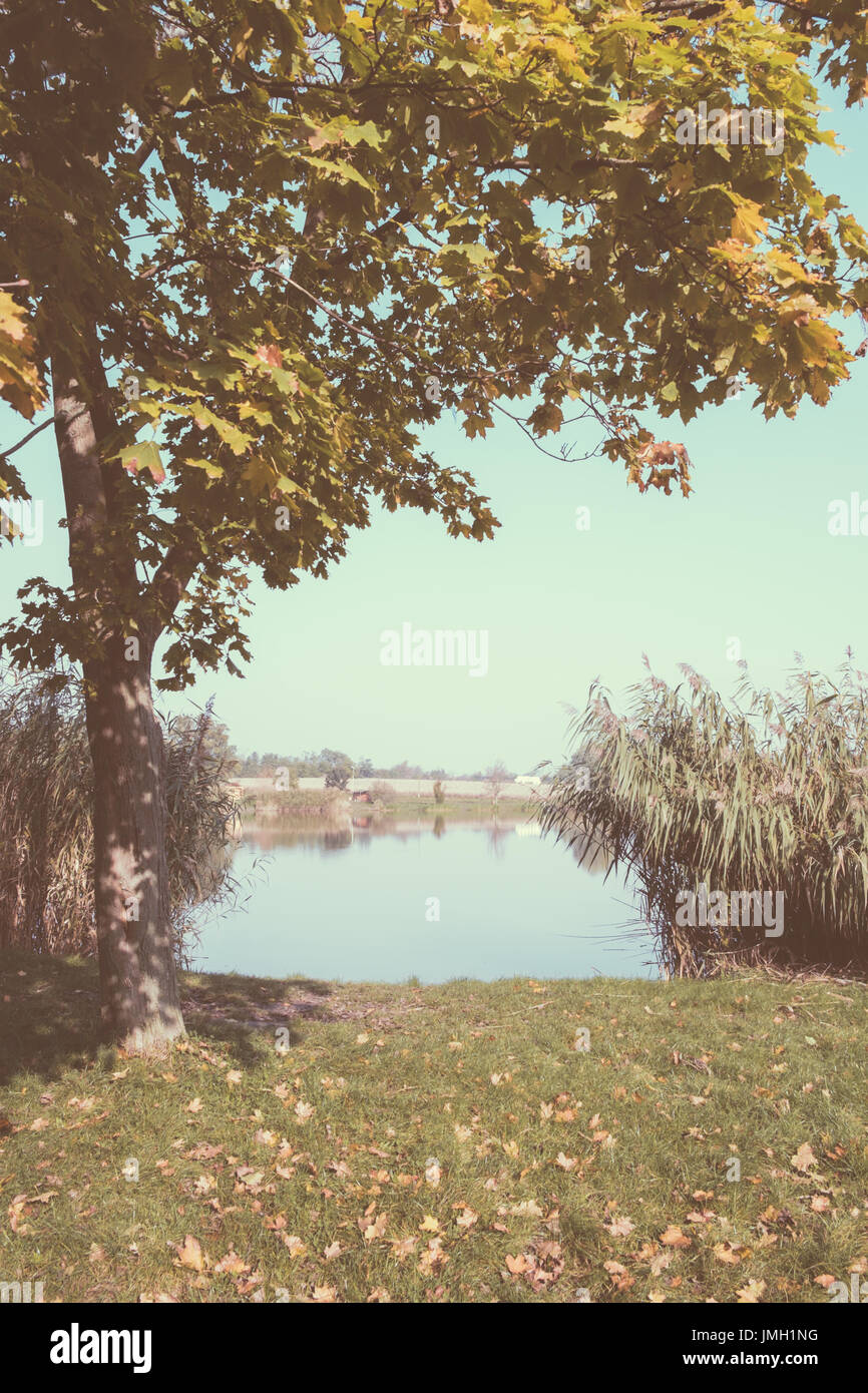Autumn forest and lake Stock Photo - Alamy