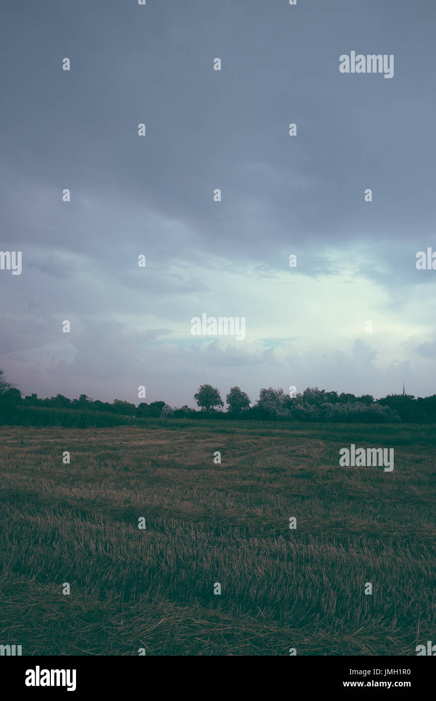 Stormy sky over pasture Stock Photo - Alamy
