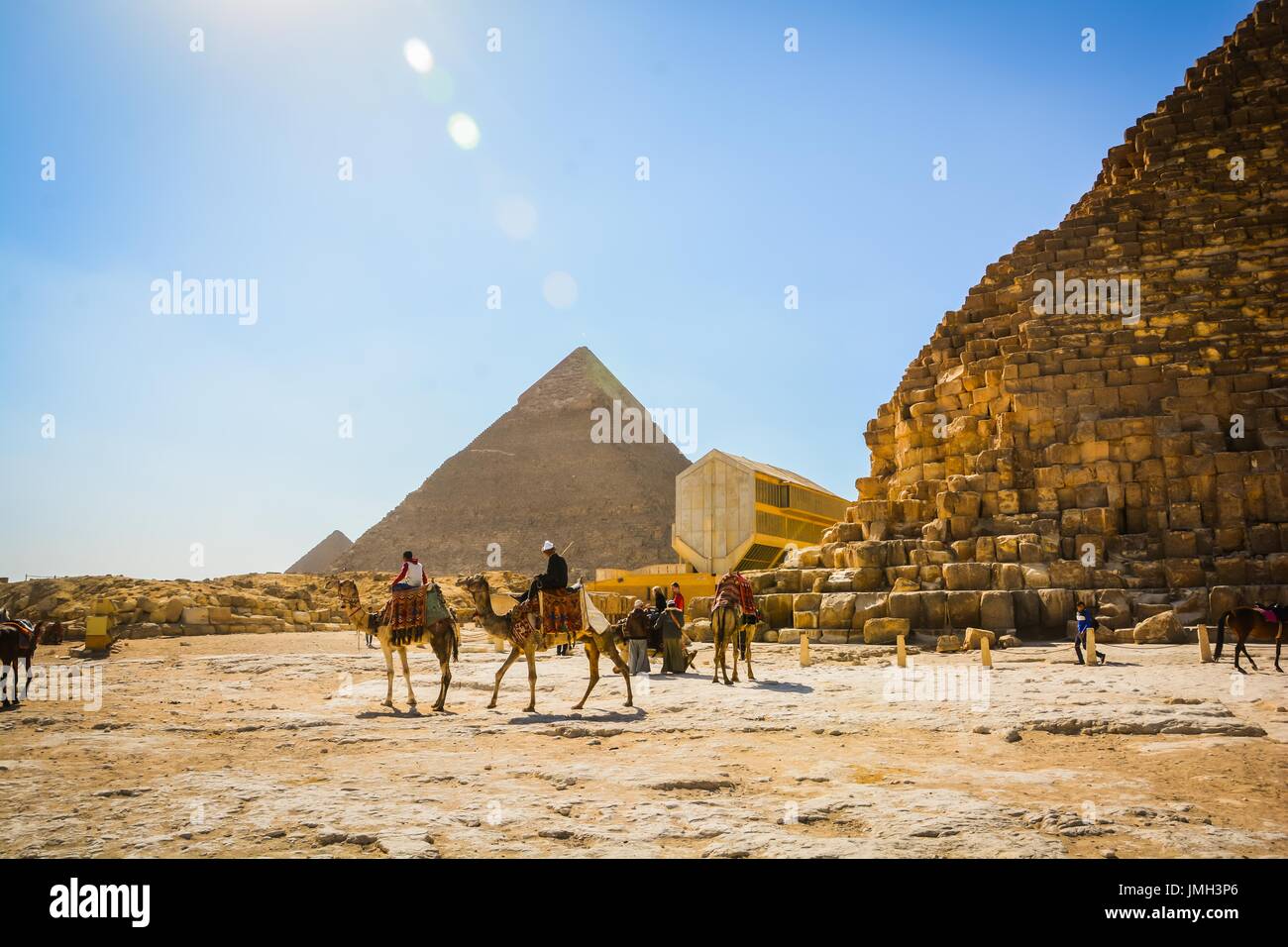 Riding camels near the pyramids Stock Photo - Alamy