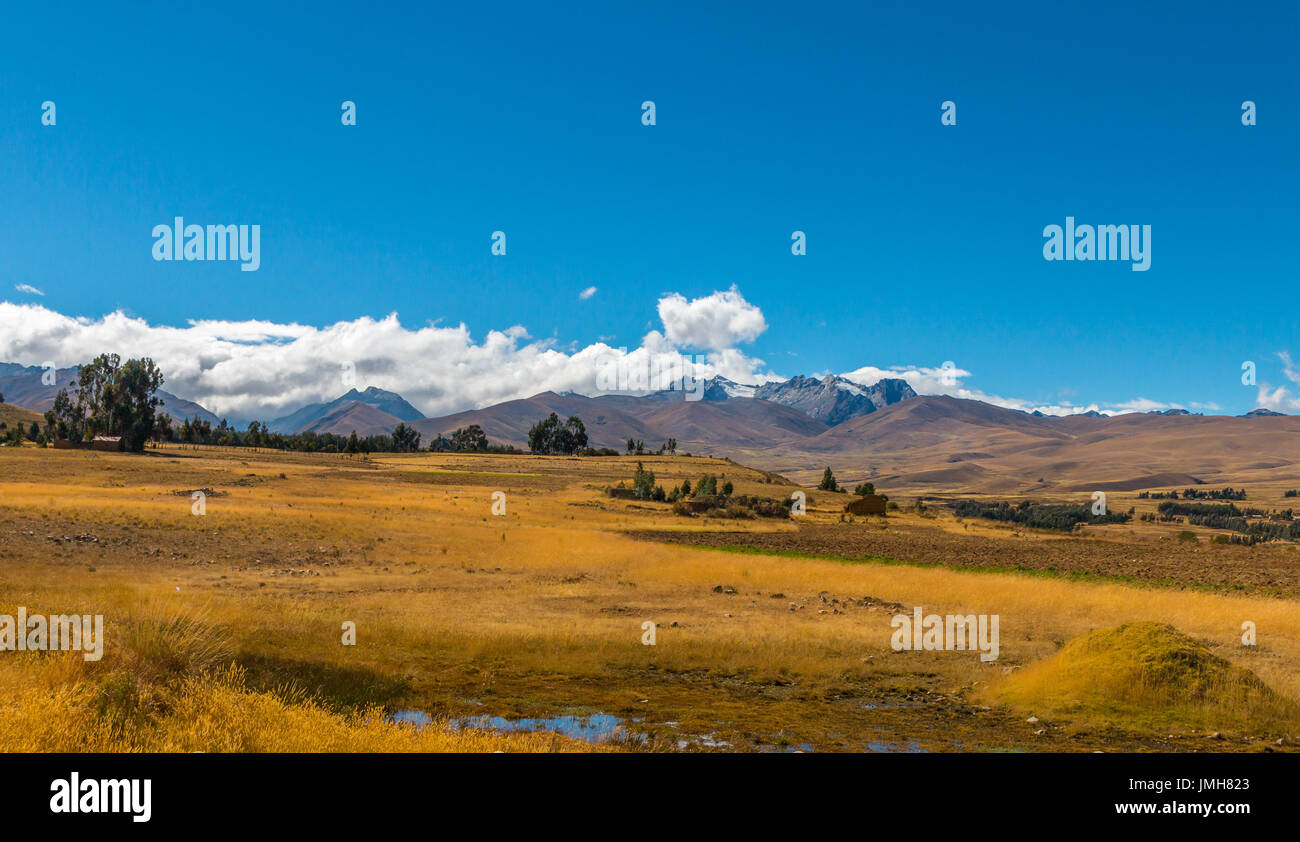 Andean gold hi-res stock photography and images - Alamy
