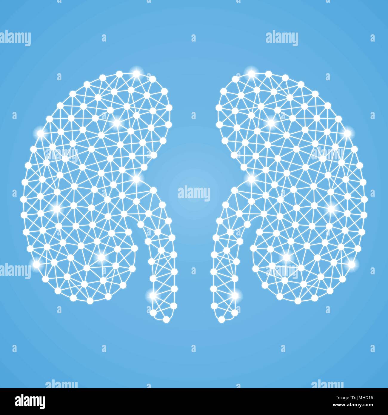 Muscle blood kidney urinary Stock Vector Images - Alamy