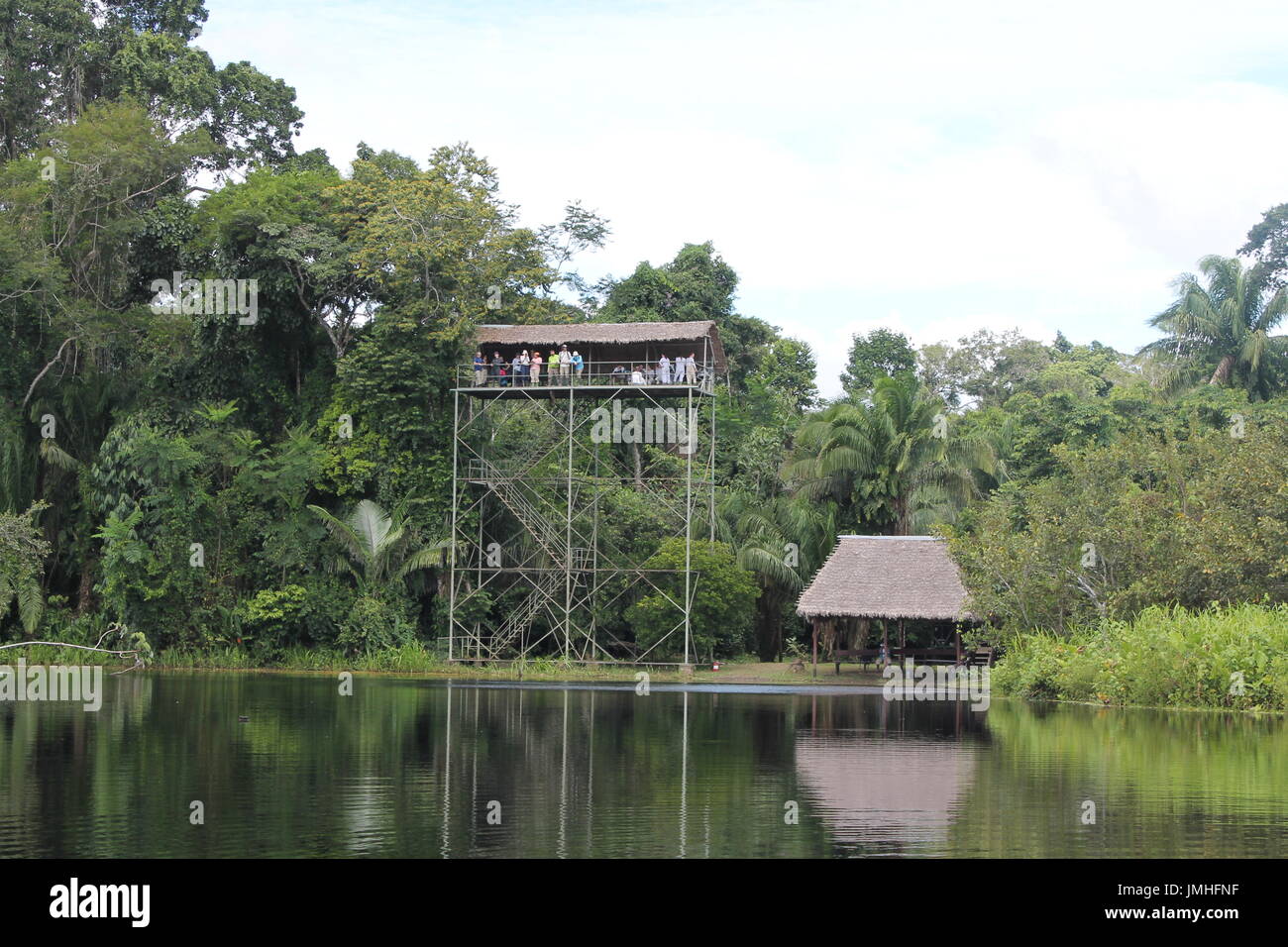 Viewpoint in the Amazonas Stock Photo - Alamy