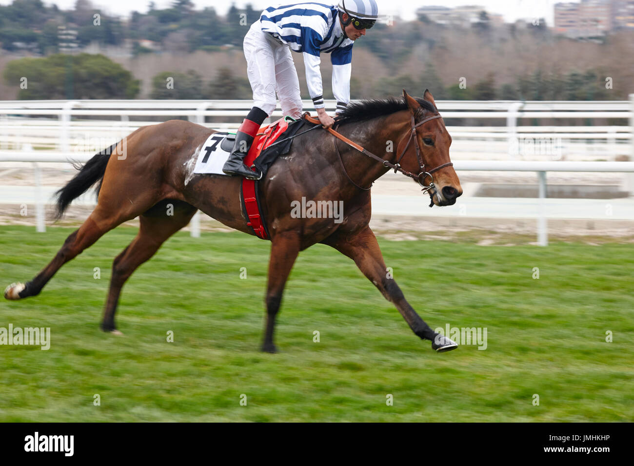 Race horse training warm up track hi-res stock photography and images ...