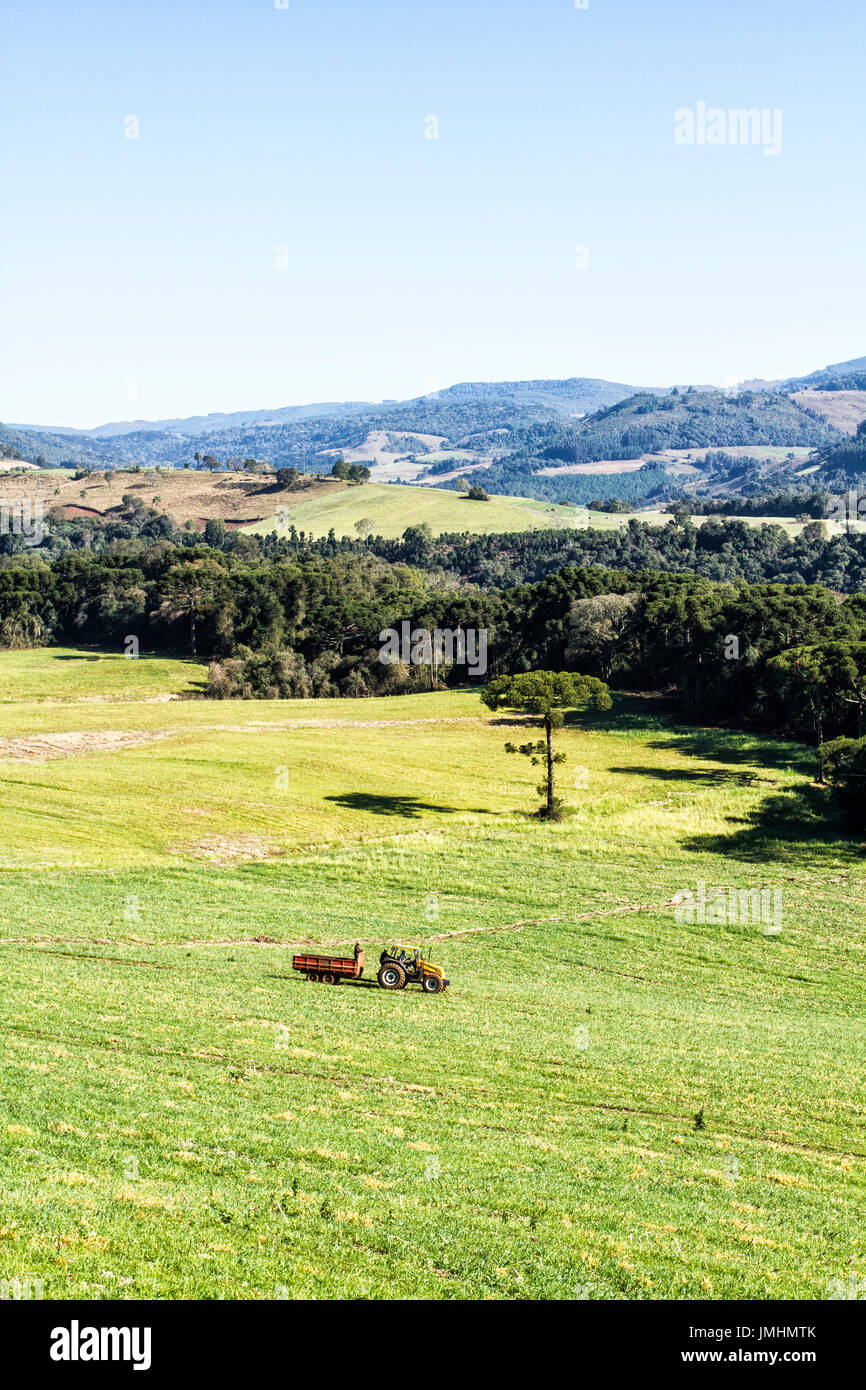 Rural landscape in countryside of Santa Catarina state. Treze Tilias ...
