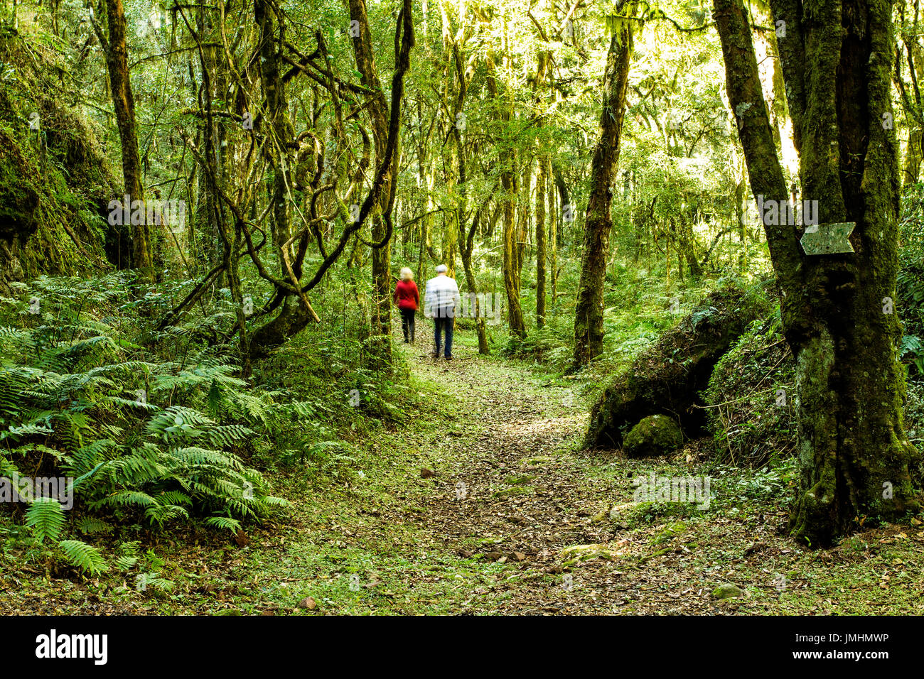 Babenberg hi-res stock photography and images - Alamy