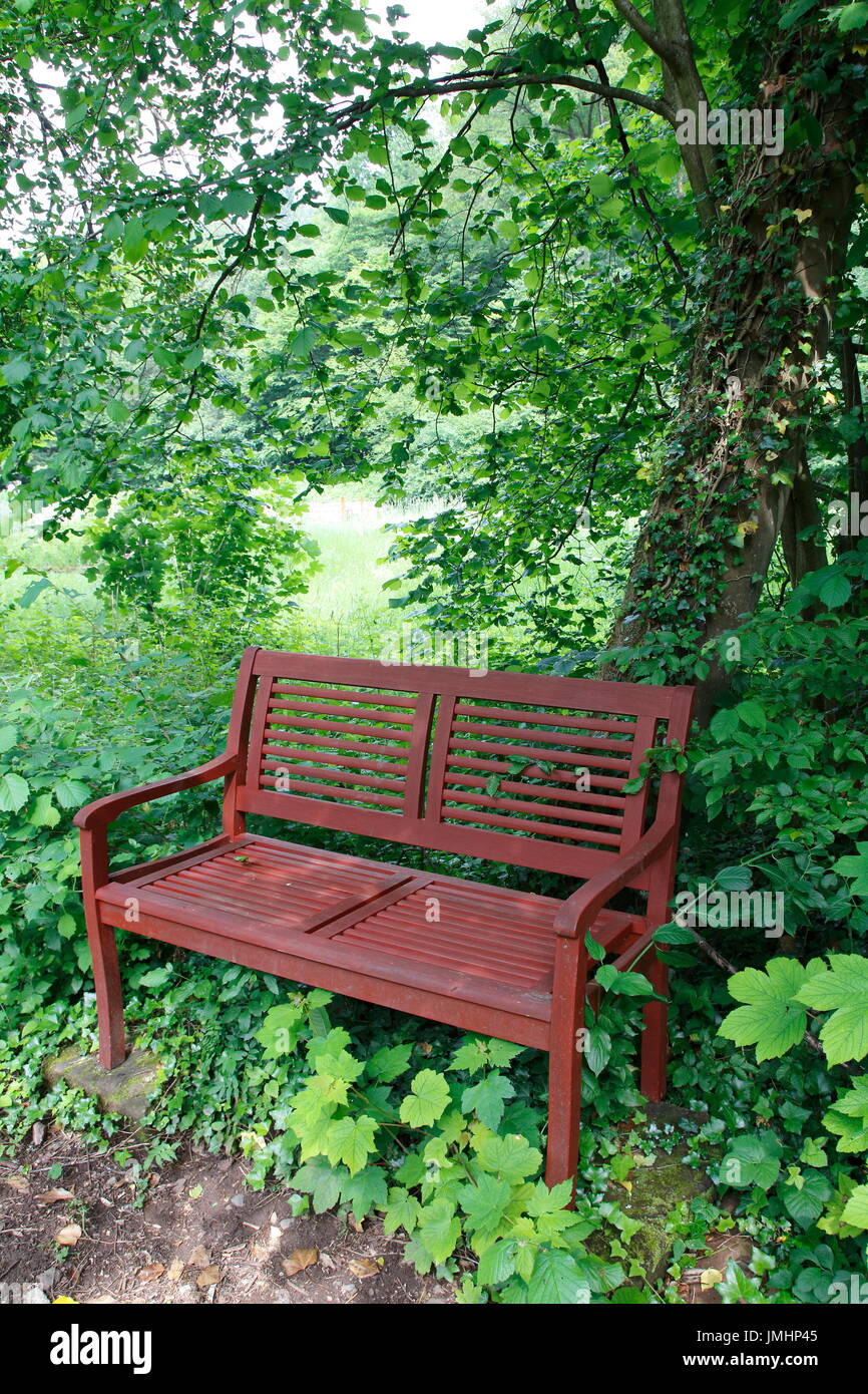 Romantische Bank, Sitzbank im Wald Stock Photo - Alamy