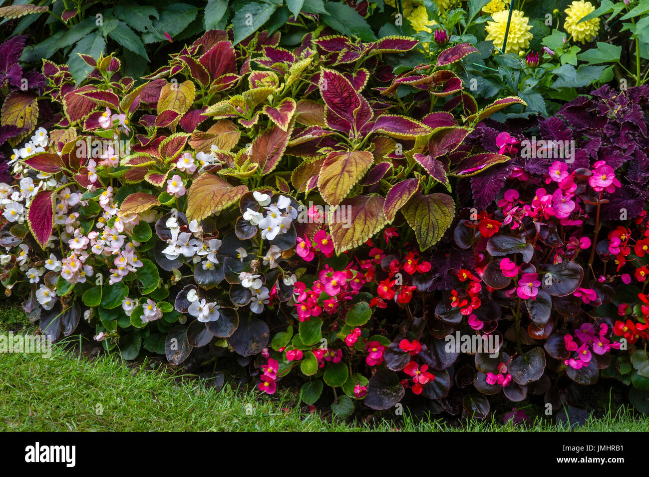 Heather flower beds hi-res stock photography and images - Alamy