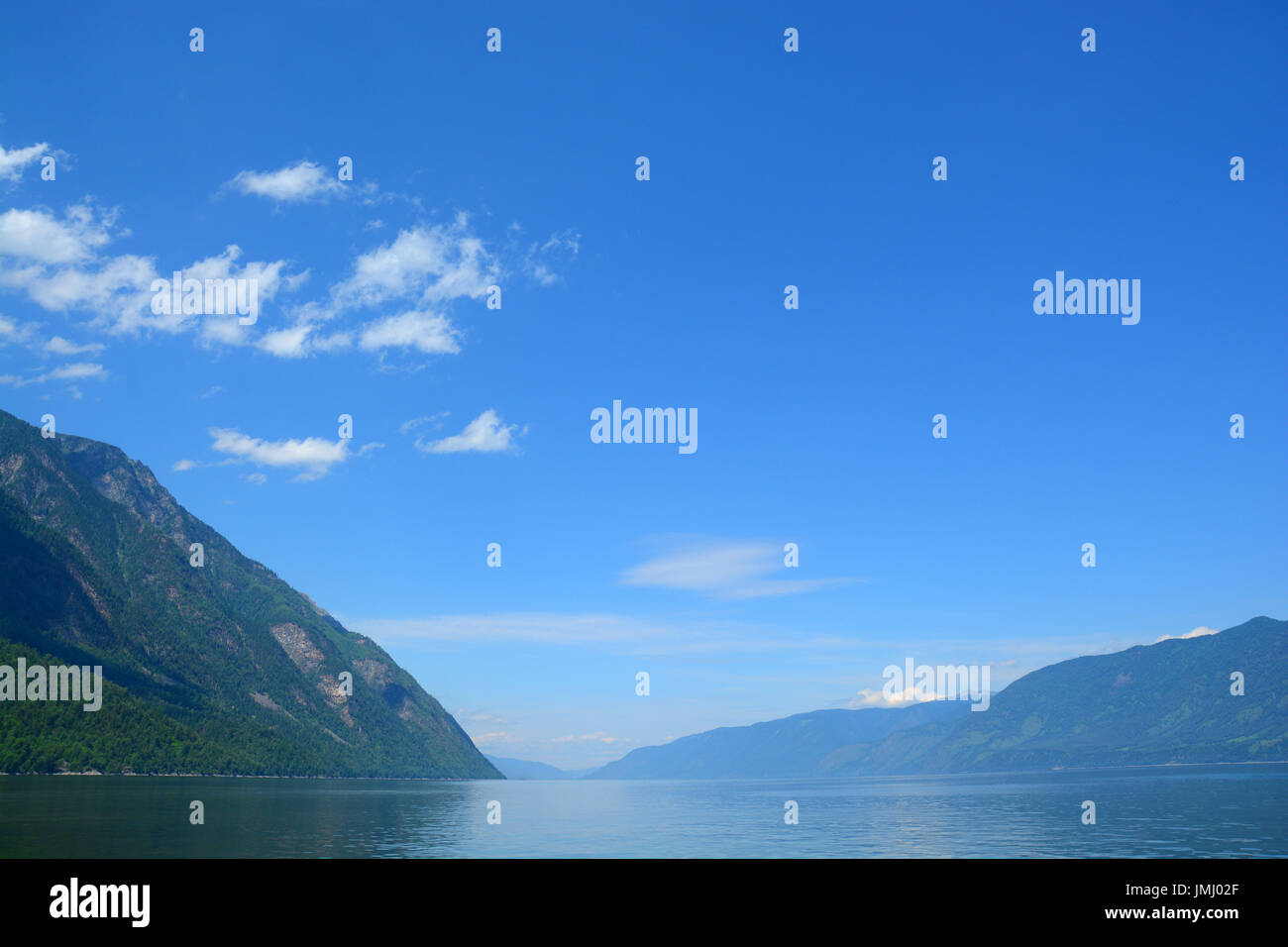 Altai trees hi-res stock photography and images - Alamy