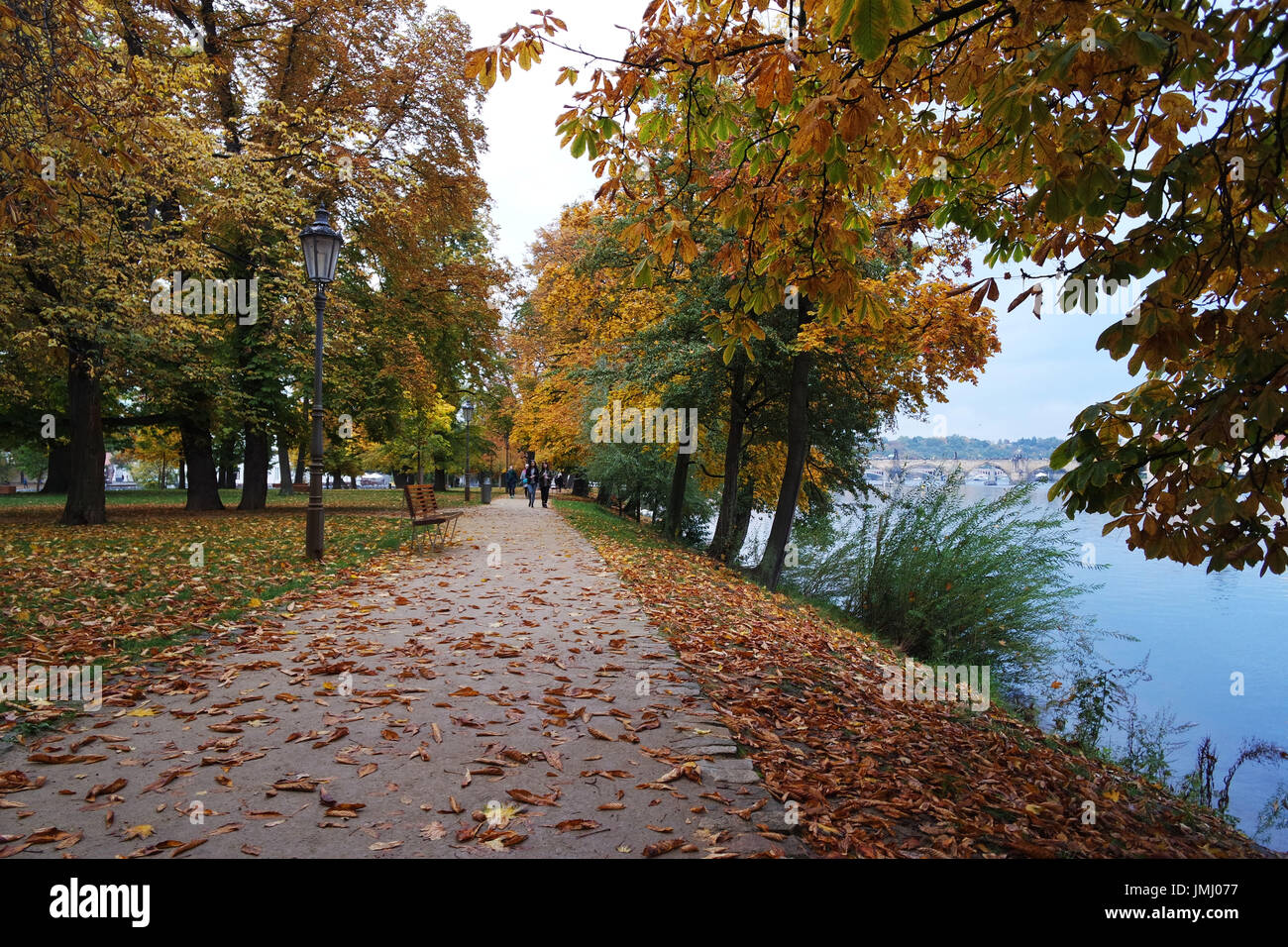 Park pathway covered in yellow leaves Stock Photo - Alamy