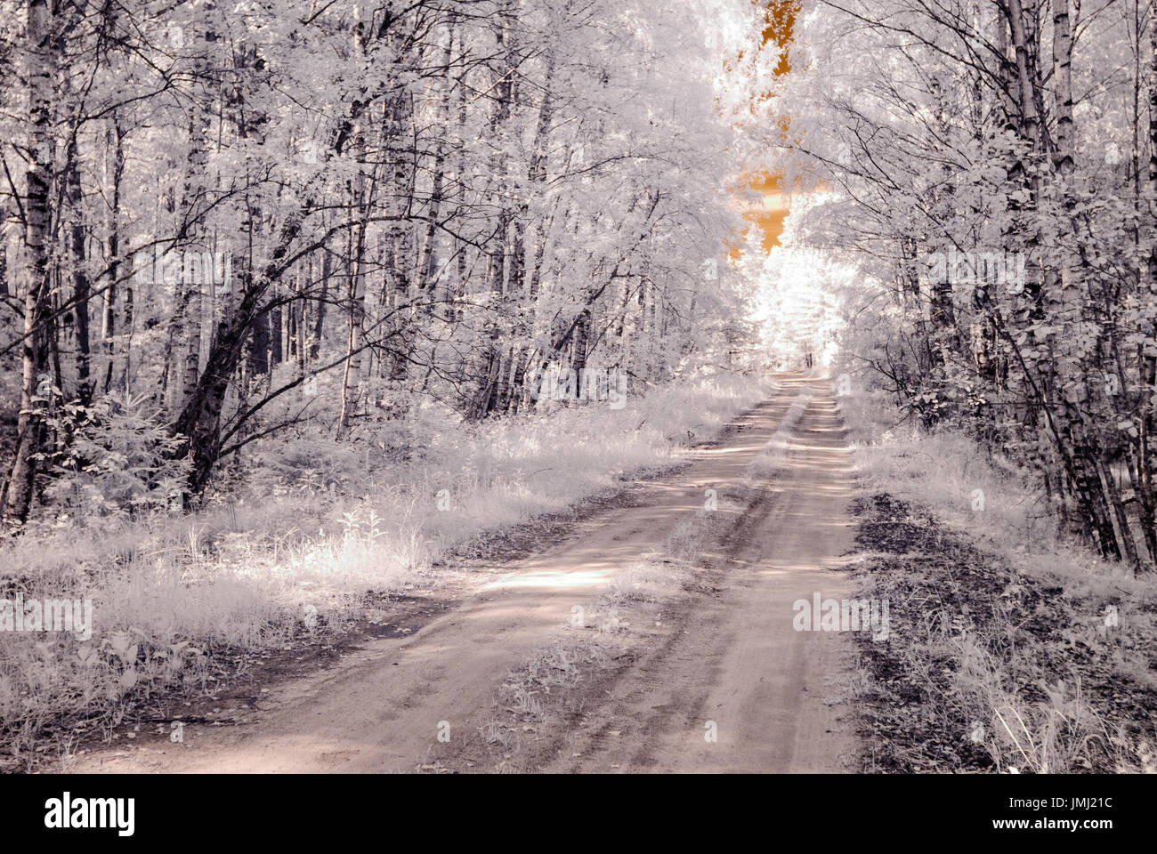infrared camera image. colored. gravel road in countryside with trees ...