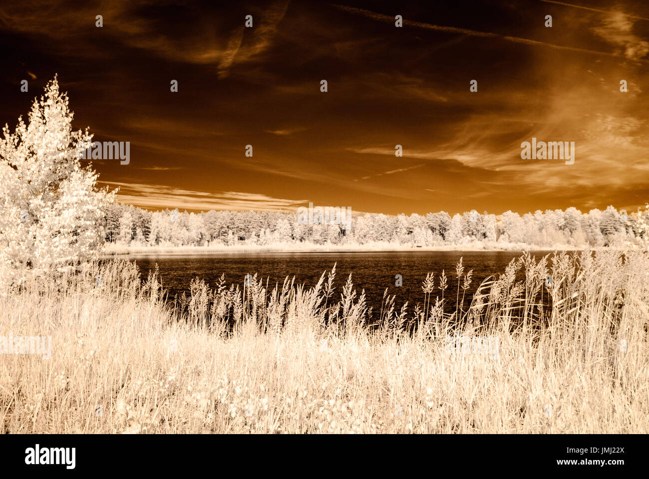 infrared camera image. colored. reflections of clouds in water in ...