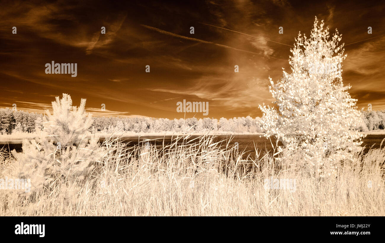 infrared camera image. colored. reflections of clouds in water in ...