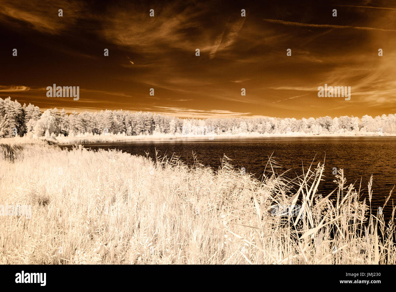 infrared camera image. colored. reflections of clouds in water in ...