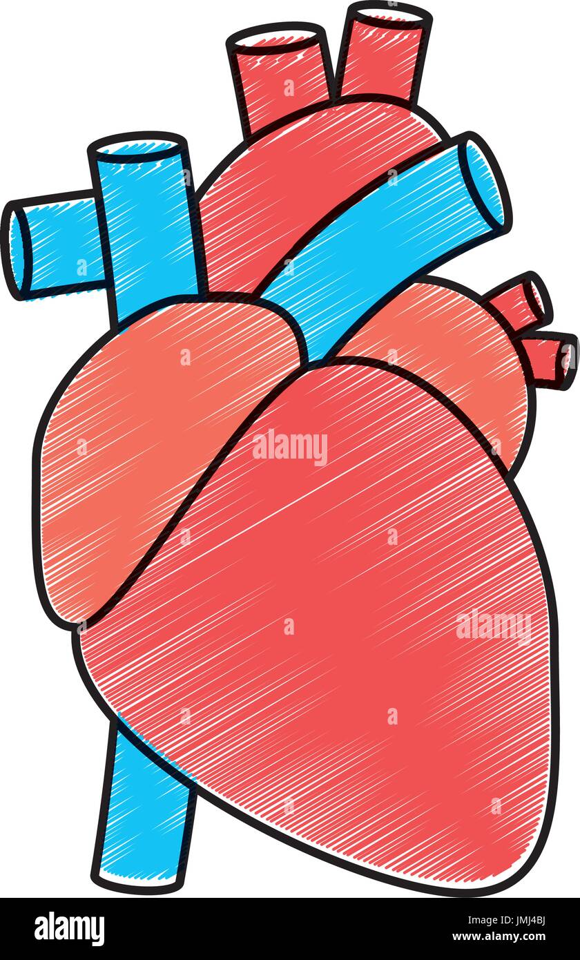 Human heart symbol over white background icon Stock Vector Image & Art ...