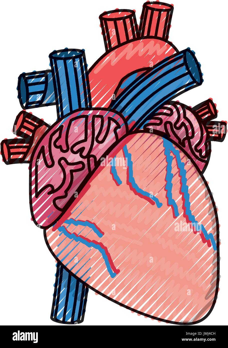 Human heart symbol over white background icon Stock Vector Image & Art ...