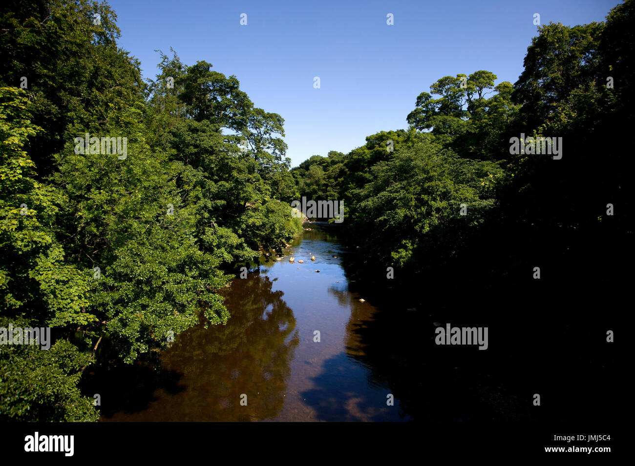 The River Wansbeck, Mitford, Northumberland Stock Photo - Alamy