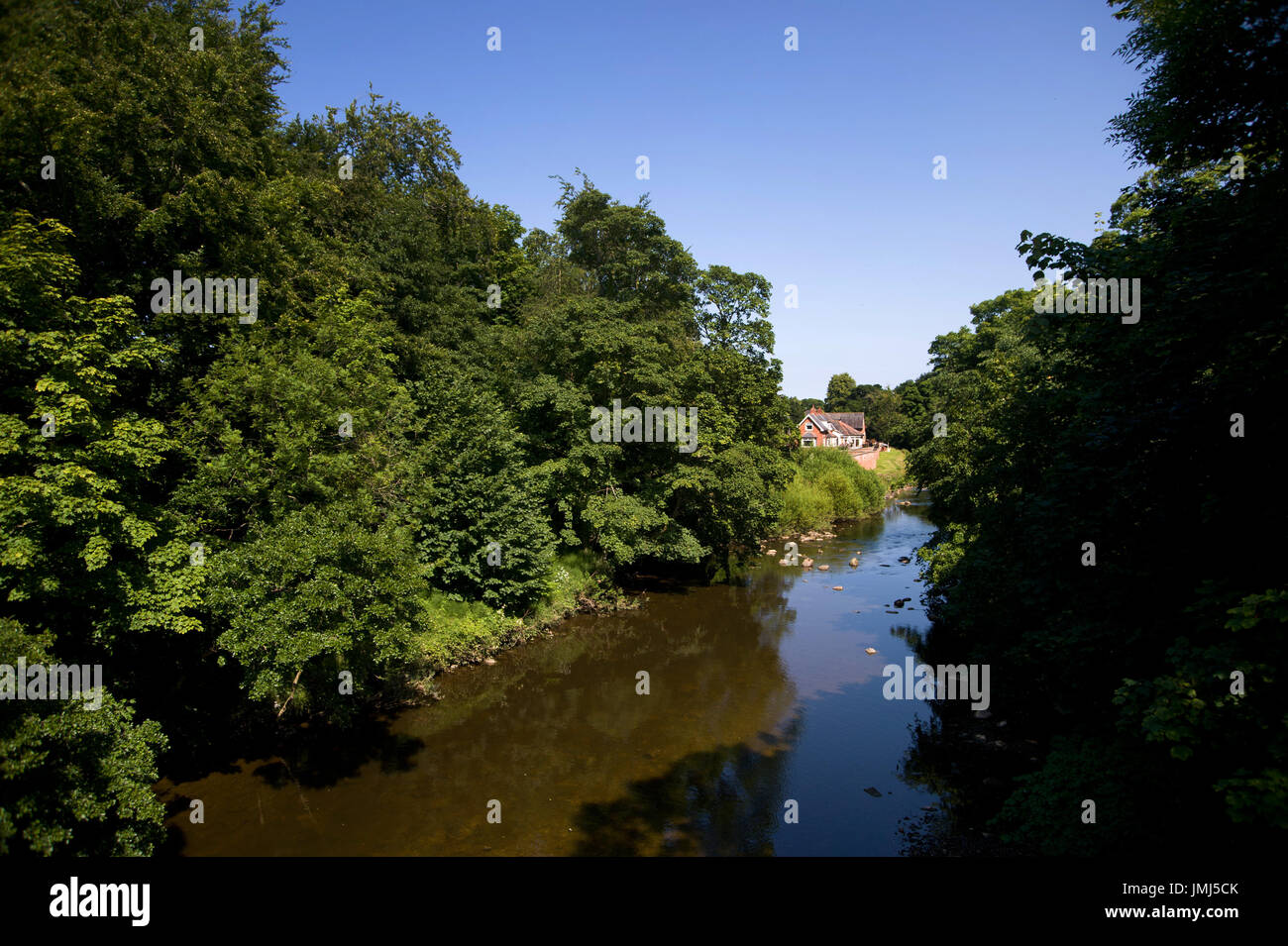 The River Wansbeck, Mitford, Northumberland Stock Photo - Alamy