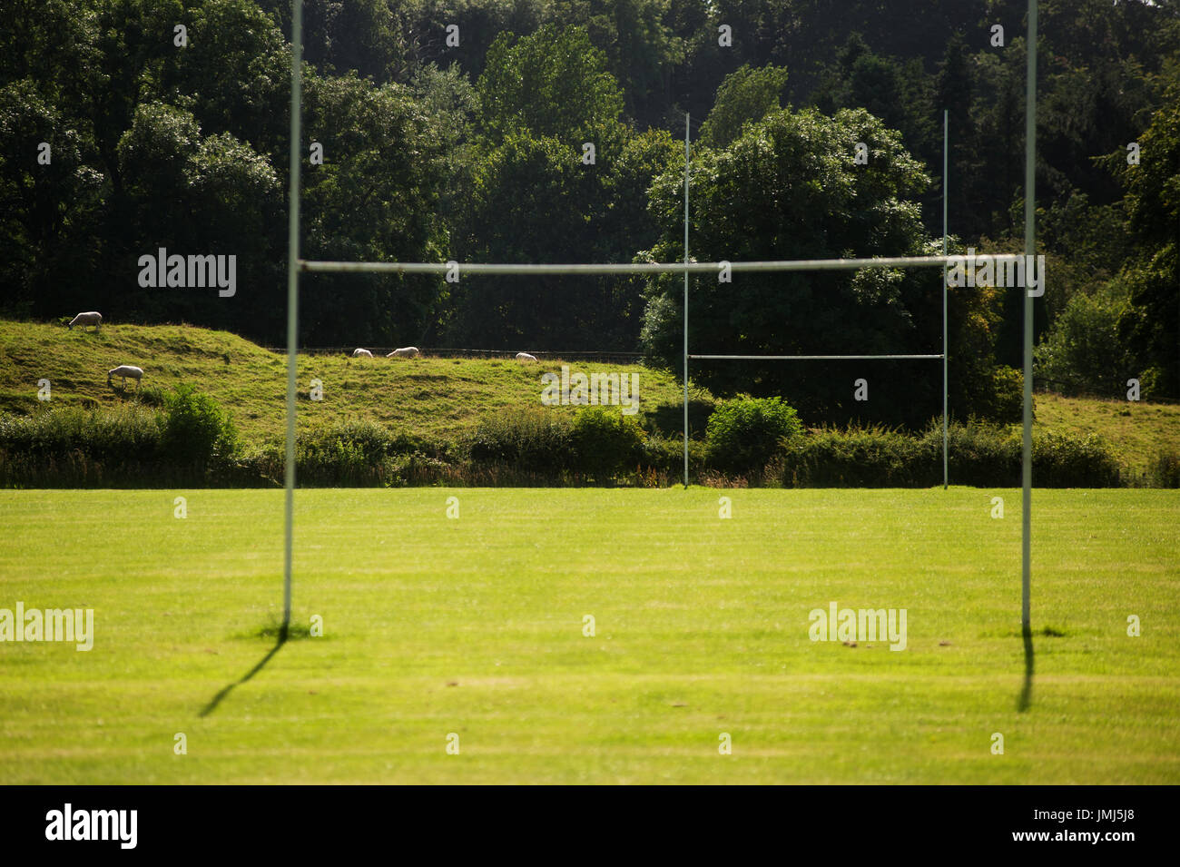 Rugby ground pitch hi-res stock photography and images - Alamy