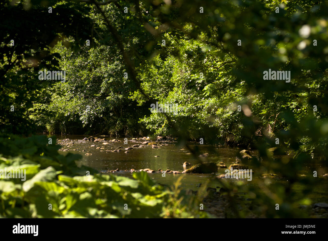 The River Wansbeck, Mitford, Northumberland Stock Photo - Alamy