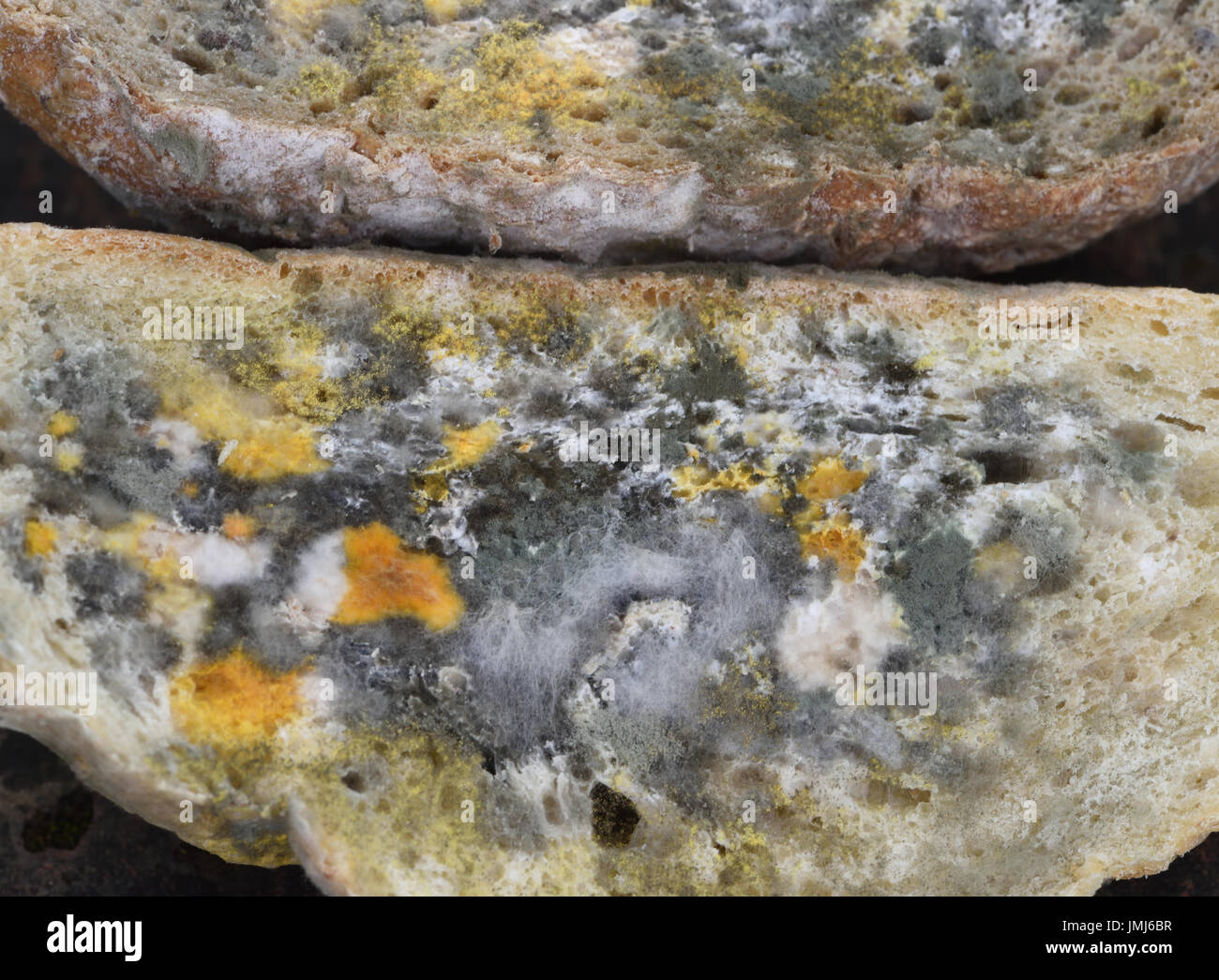 Mould bread hi-res stock photography and images - Alamy