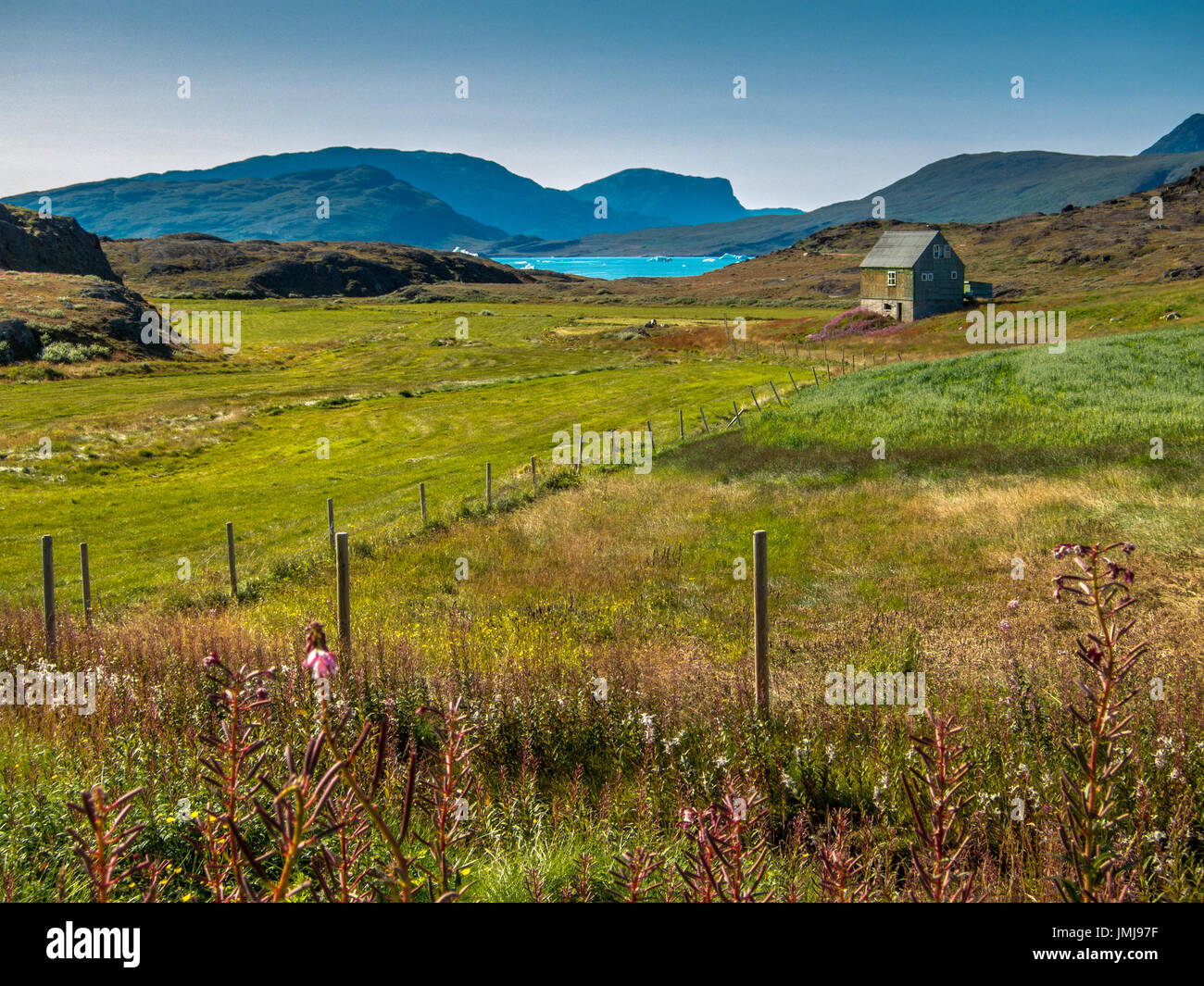 Tasiusaq hi-res stock photography and images - Alamy