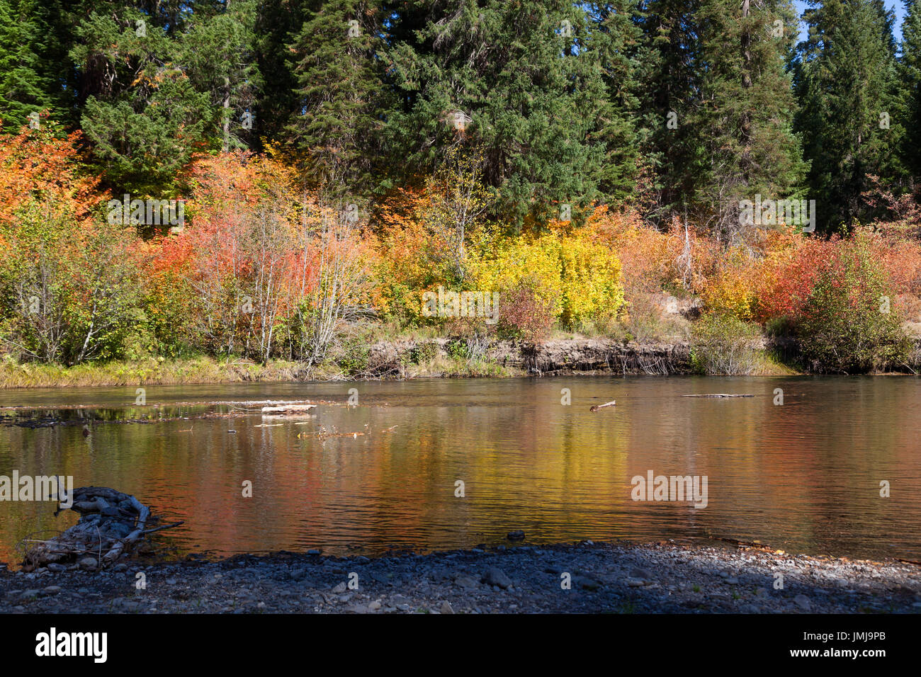 A stream in the forest with colorful fall foliage lining the embankment ...