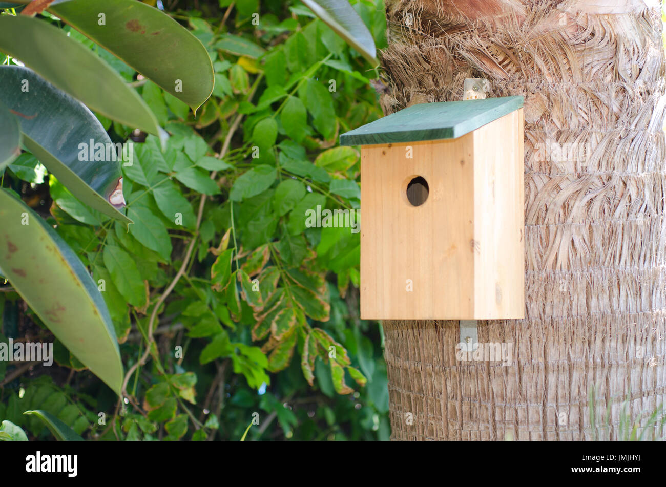 Bird box on the trunk of a tree Stock Photo - Alamy