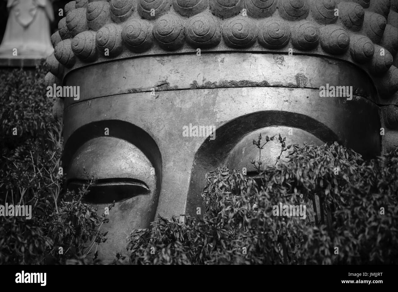 Golden color Black and White Stock Photos & Images - Alamy