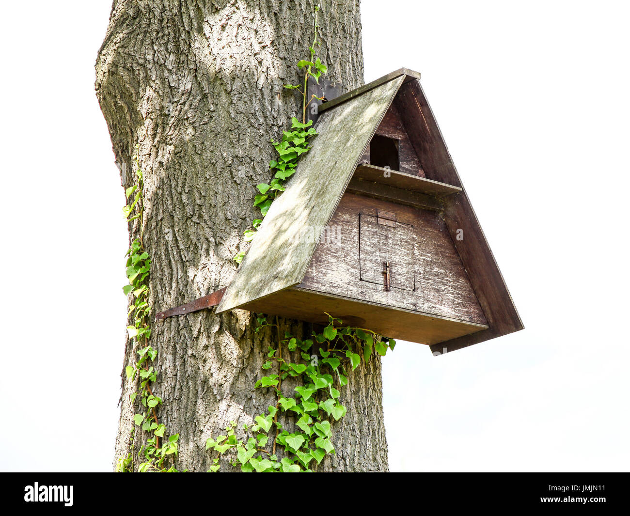 Owl box hi-res stock photography and images - Alamy