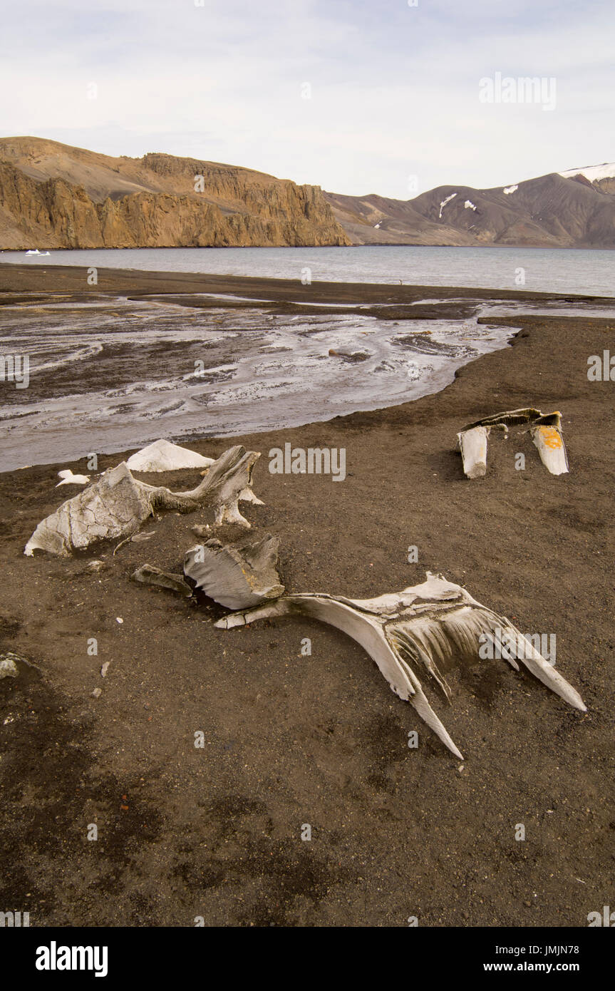 Antarctica, South Shetland Islands, Deception Island, Telephone Bay ...