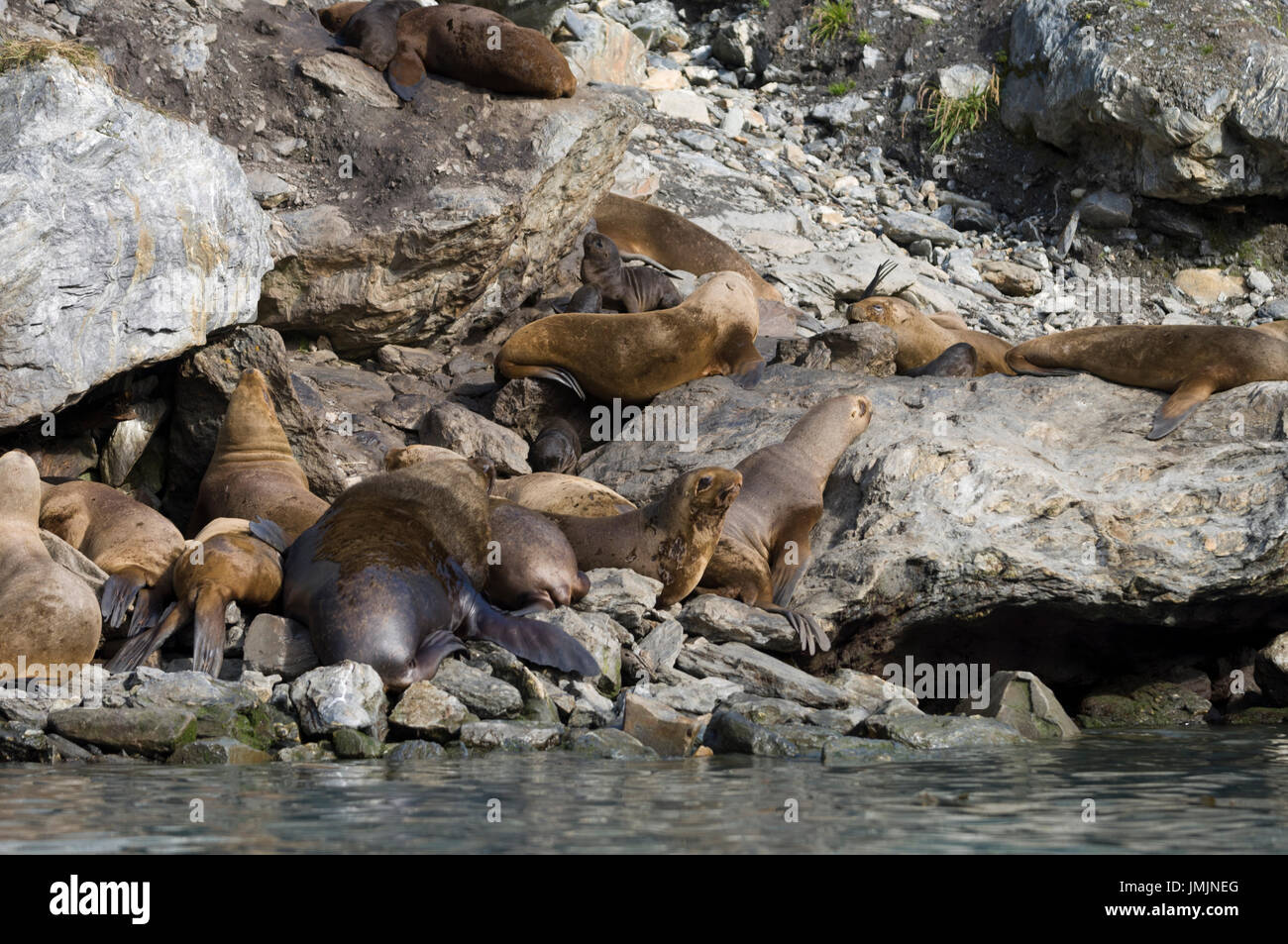 Chile, Patagonia. Tierra del Fuego, Darwin National Park, Garibaldi ...