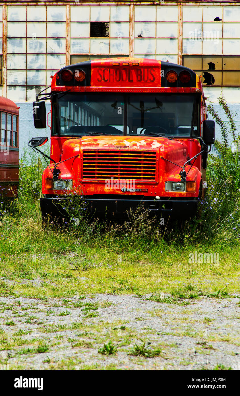 Detroit Michigan USA School bus parked in lot Stock Photo - Alamy