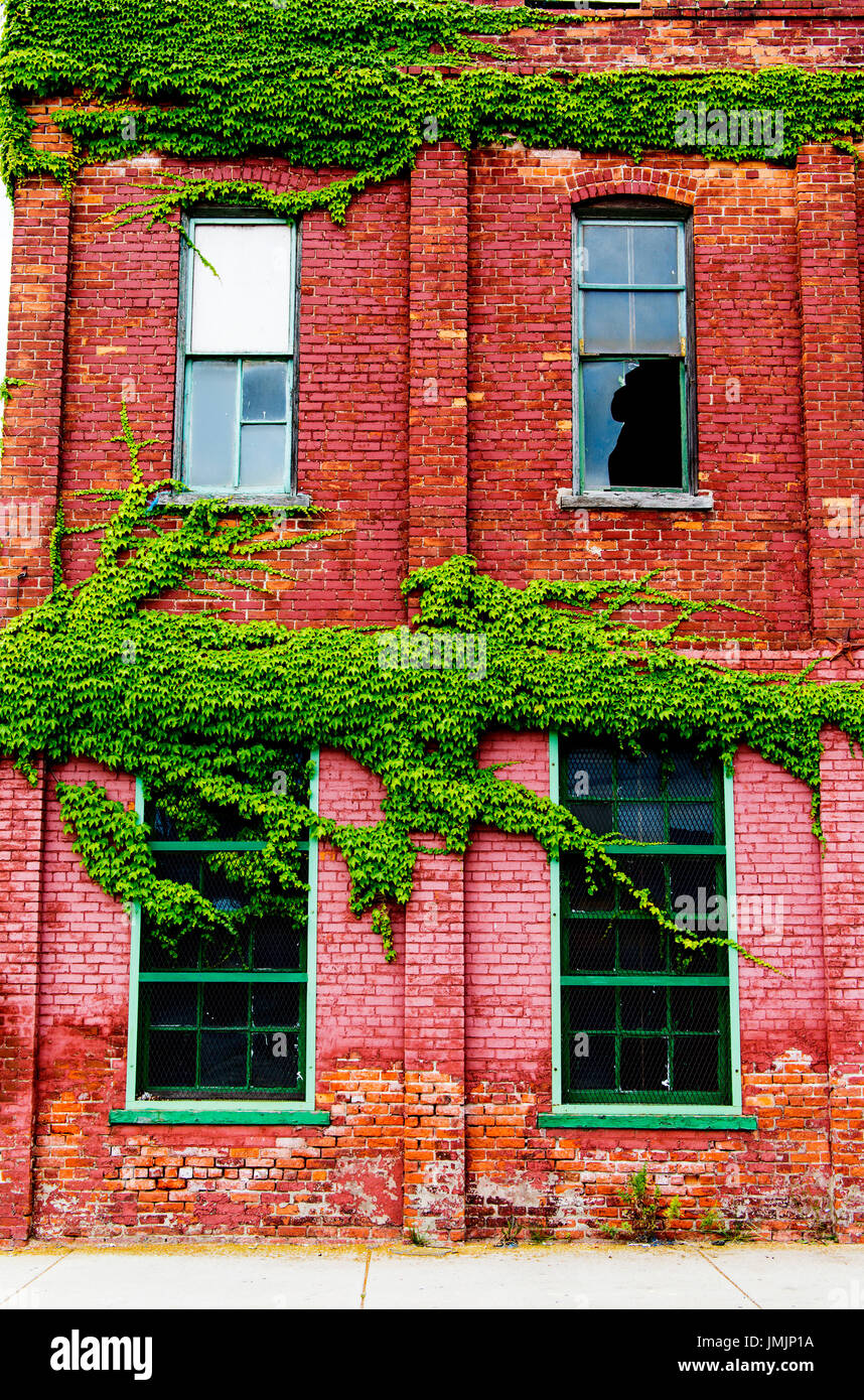 Abandoned Factory Building Detroit Michigan USA Stock Photo - Alamy