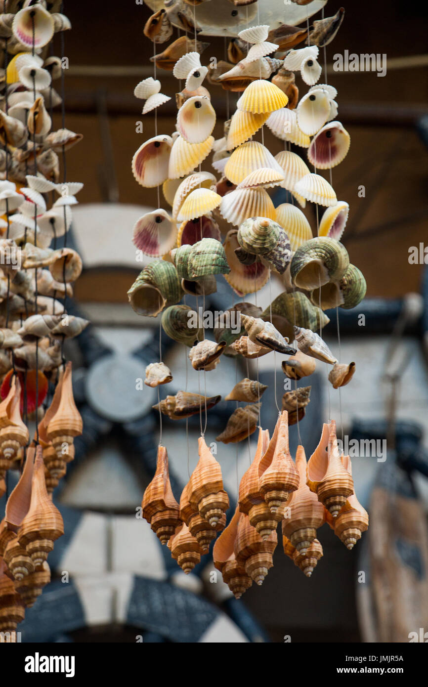 Various types of little colorful seashells Stock Photo - Alamy