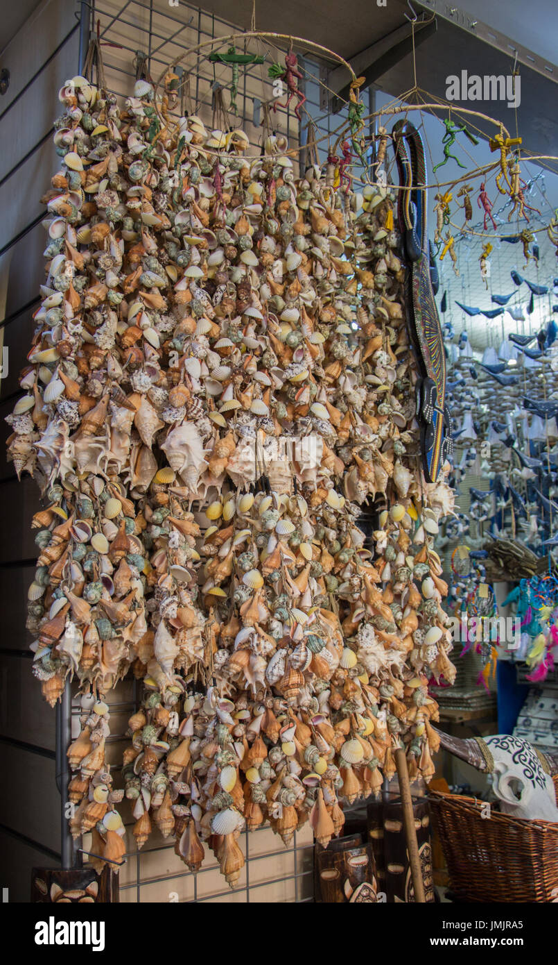 Various types of little seashells attached on a net Stock Photo - Alamy