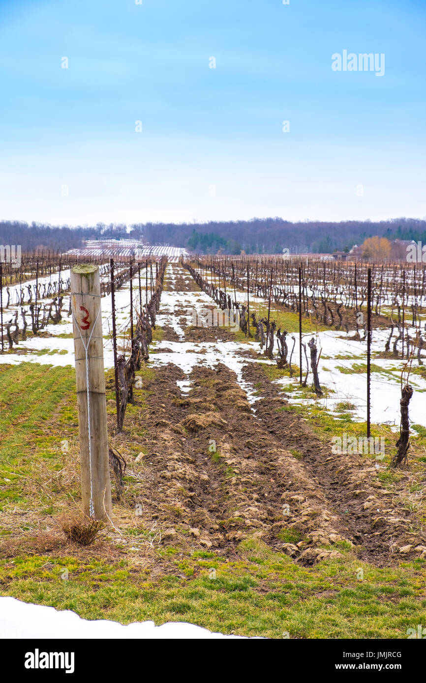 Niagara wine region hi-res stock photography and images - Alamy