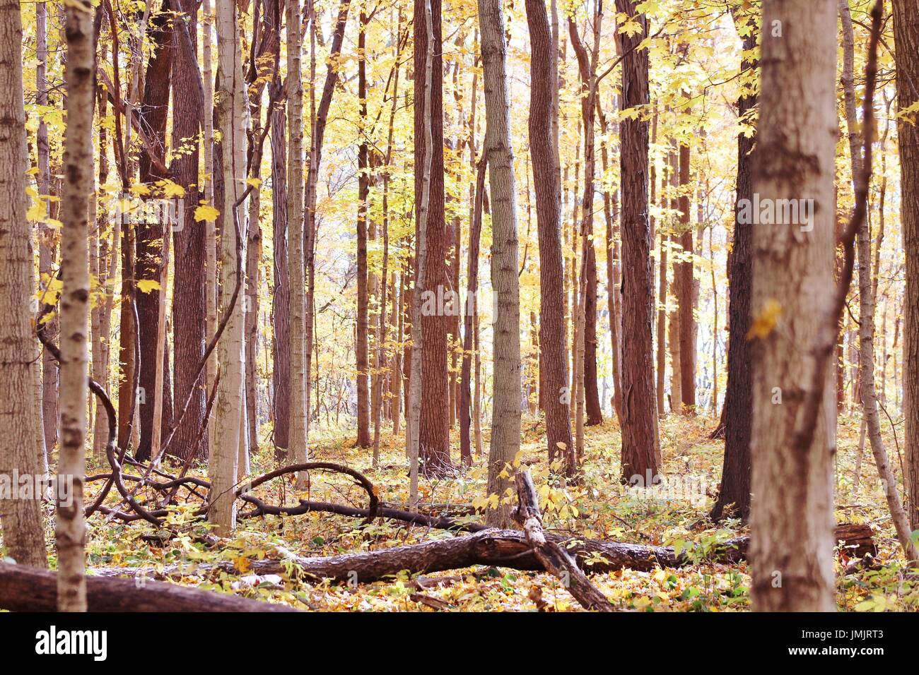 Indiana scenery hi-res stock photography and images - Alamy