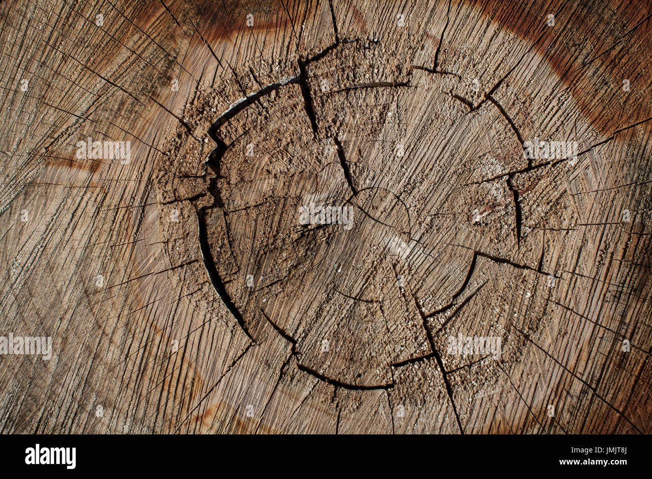Wood texture, natural tree trunk Stock Photo - Alamy