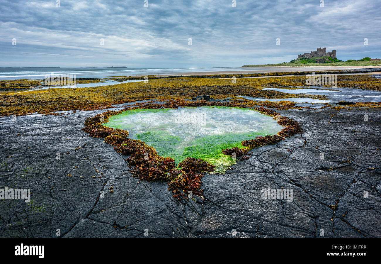 Rock pool and Banburgh Castle Stock Photo - Alamy