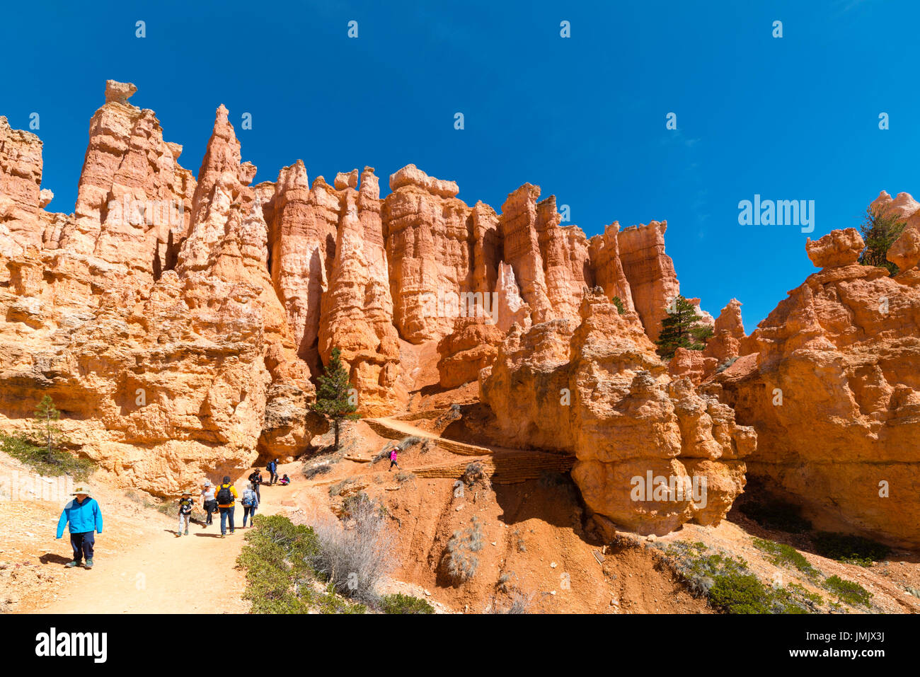 View of Bryce Canyon National Park, near Tropic, Utah, United States ...
