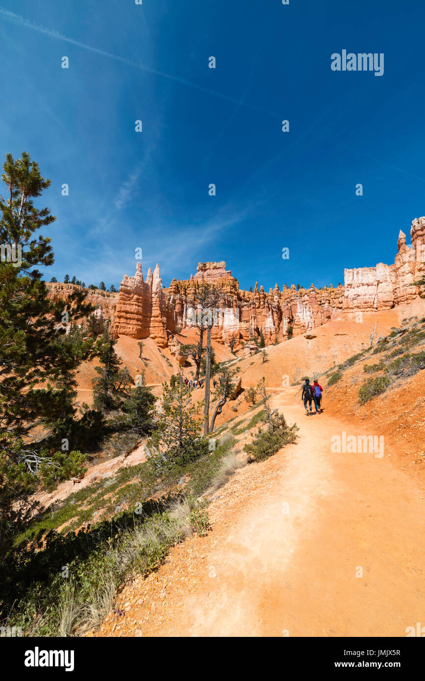 View of Bryce Canyon National Park, near Tropic, Utah, United States ...