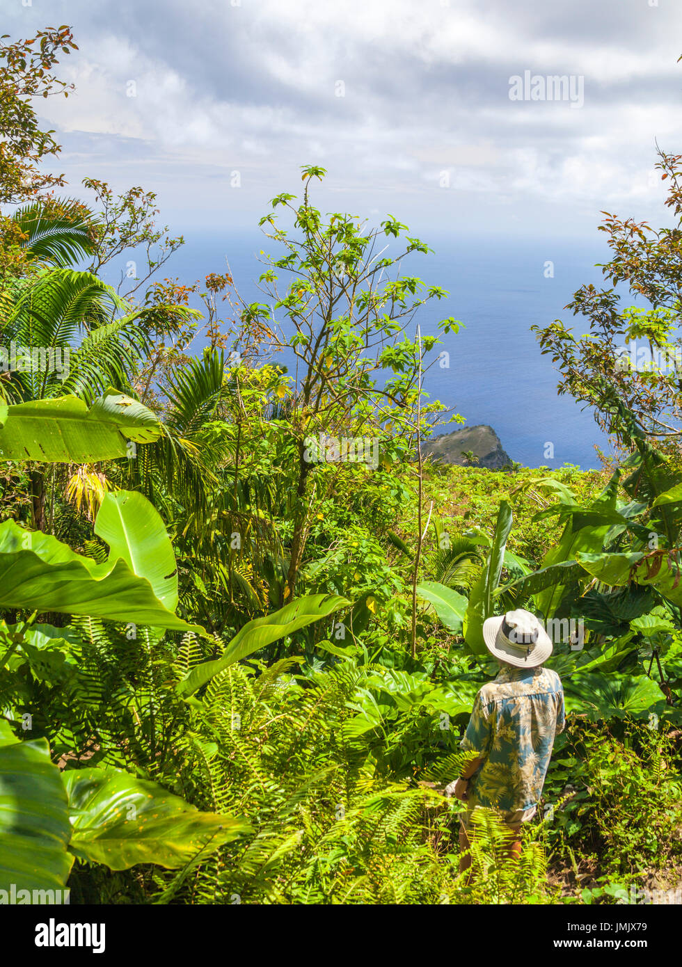 Hiker on the Mt. Scenery Trail on Saba Stock Photo - Alamy