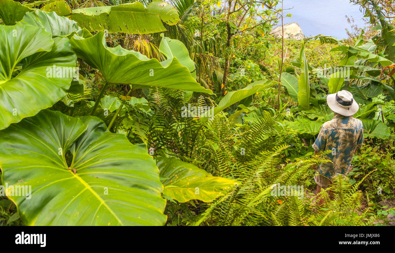 Saba Island High Resolution Stock Photography and Images - Alamy