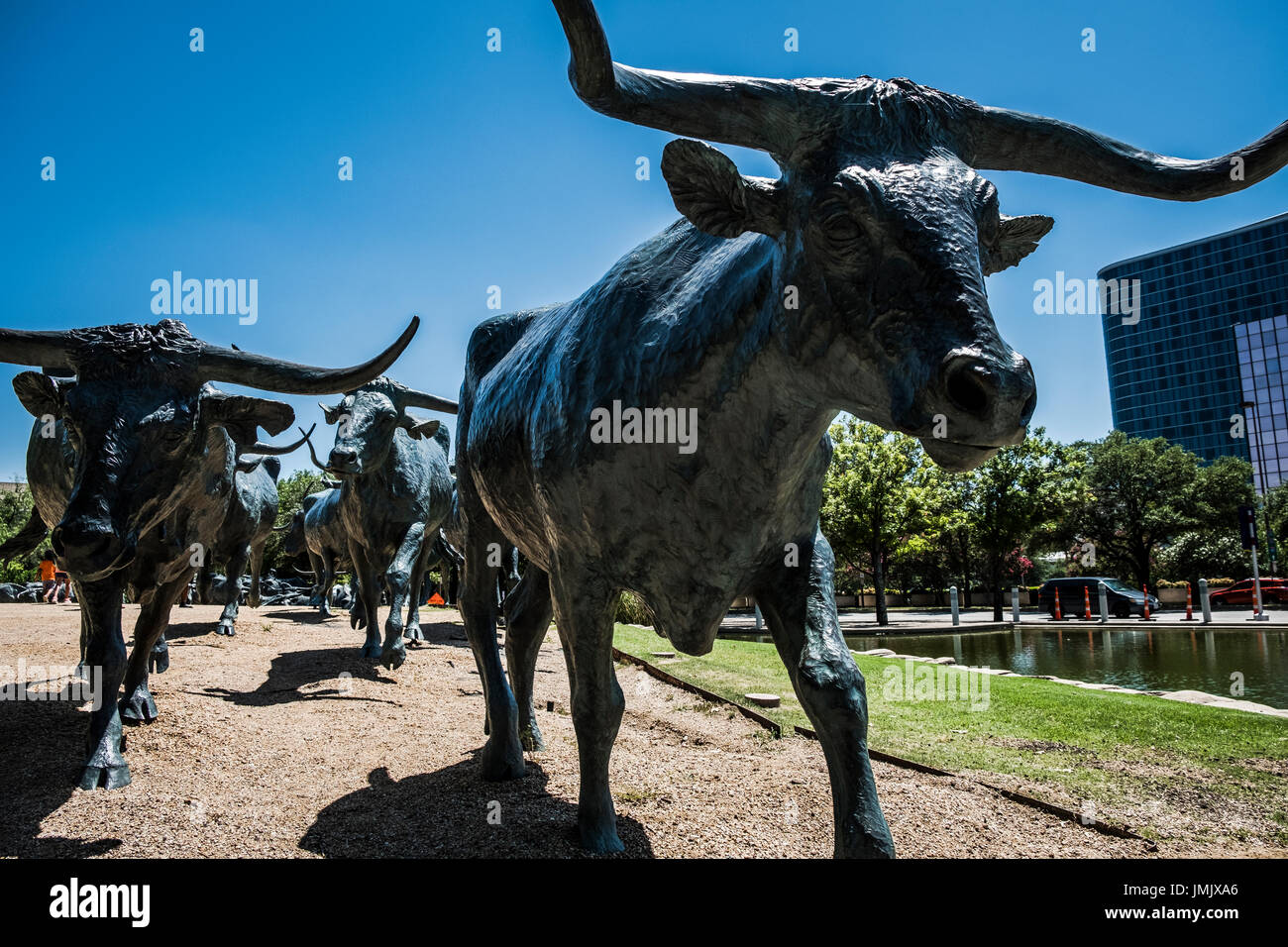 A life size cattle drive in bronze in Pioneer Park and Cemetery in ...