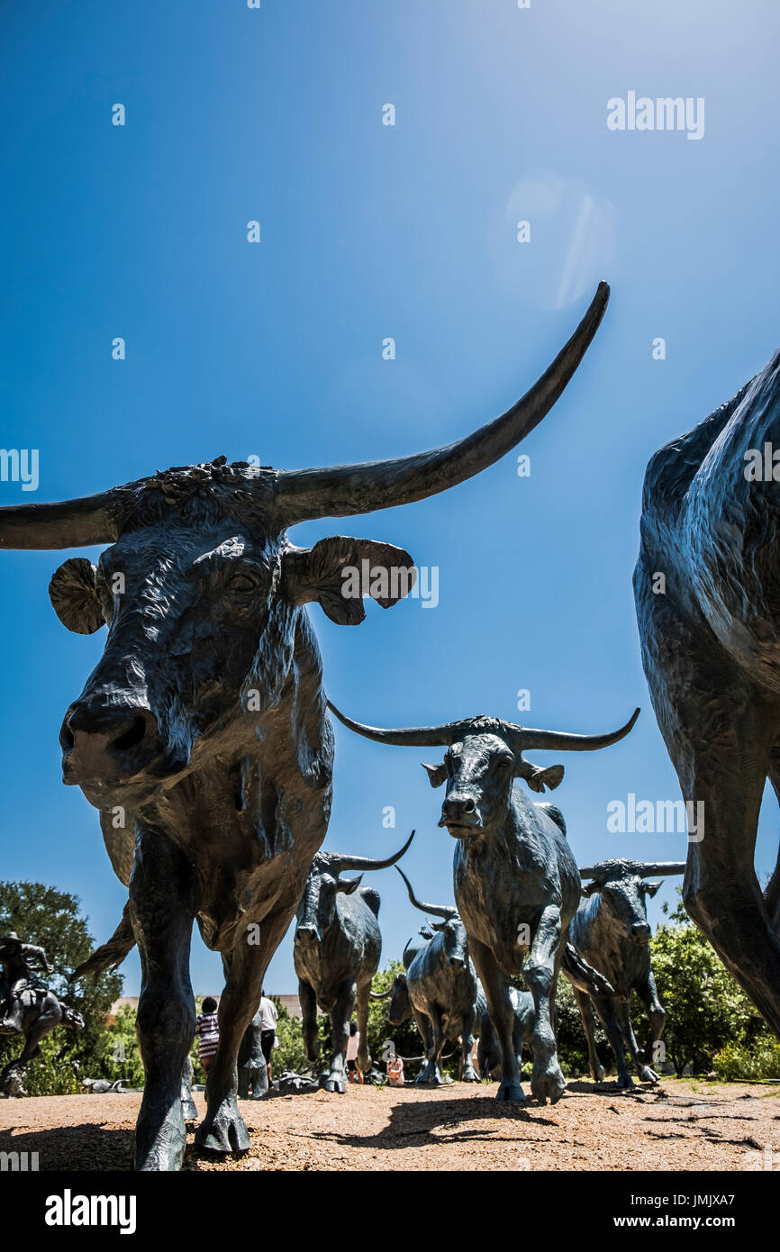 A life size cattle drive in bronze in Pioneer Park and Cemetery in ...