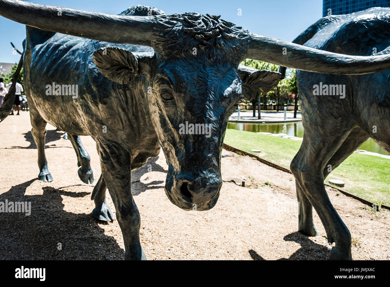 Dallas texas cattle sculptures hi-res stock photography and images - Alamy